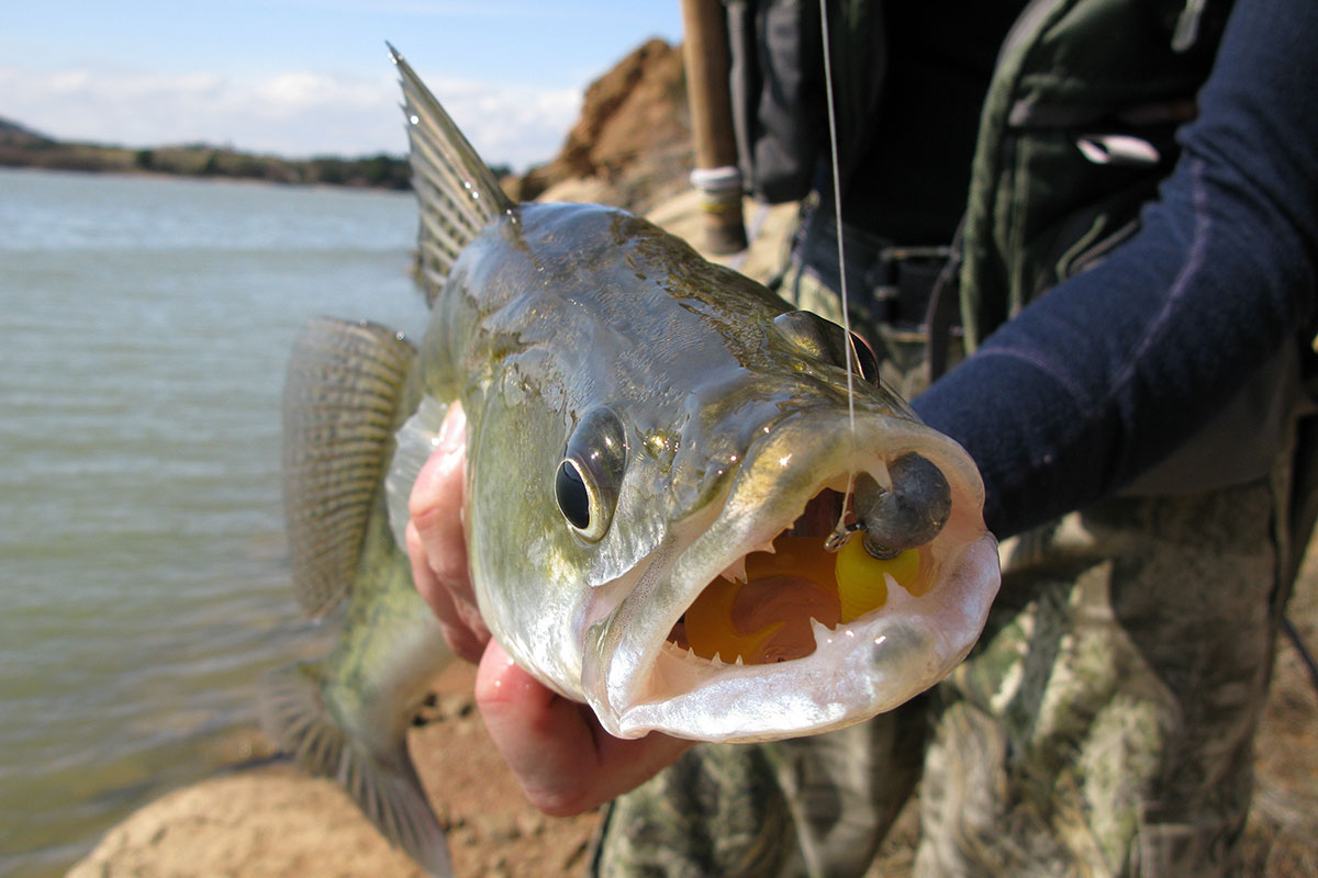 Saginaw Bay Area Fishers and Boaters Resources – Lake Huron, Michigan ...